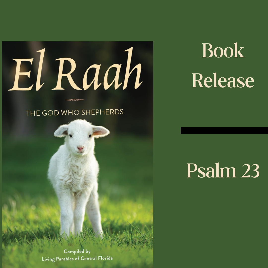 Book Release: Psalm 23 El Raah - The God Who Shepherds | Darcy Hicks ...